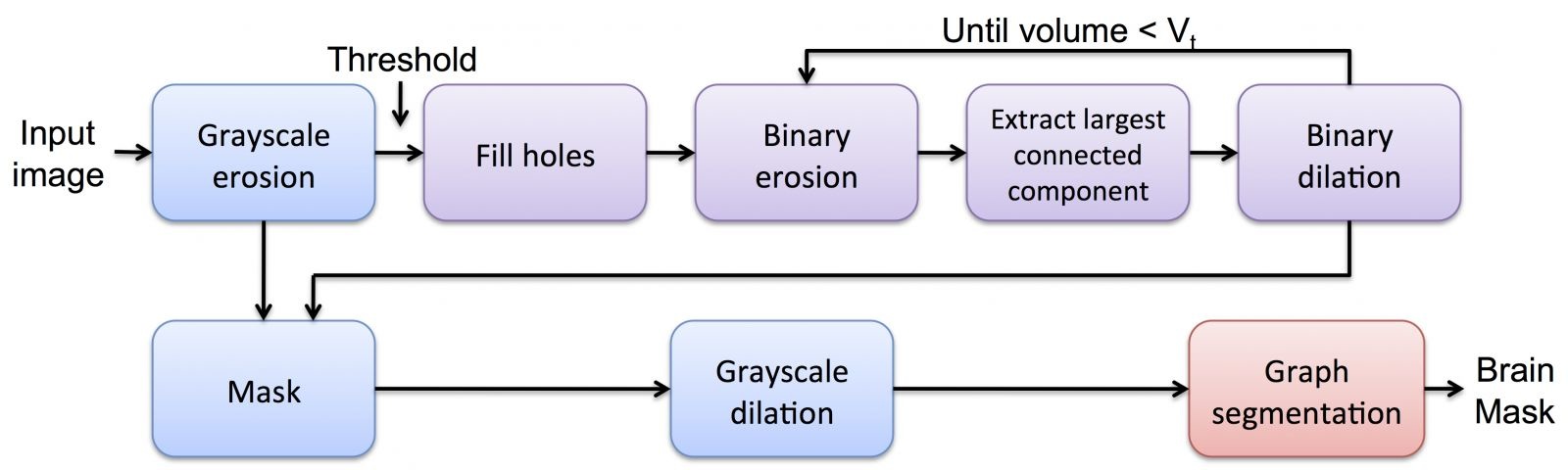 Rats Overview | Iowa Institute for Biomedical Imaging - Carver College ...