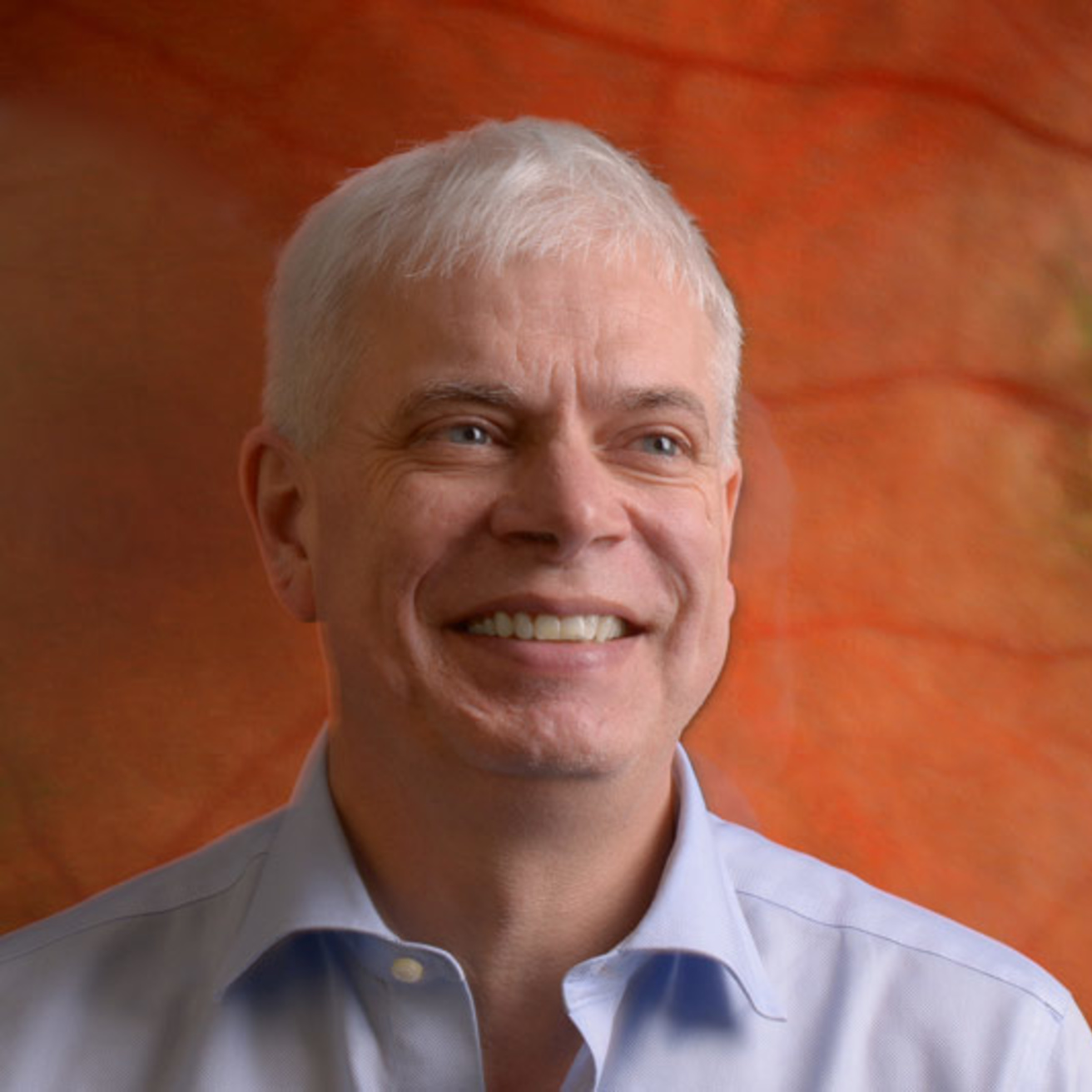 Ophthalmic Image Analysis | Iowa Institute for Biomedical Imaging - The ...